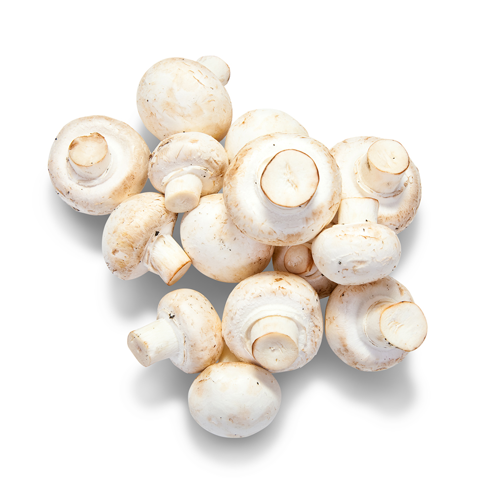 Champignons - KG Specialty